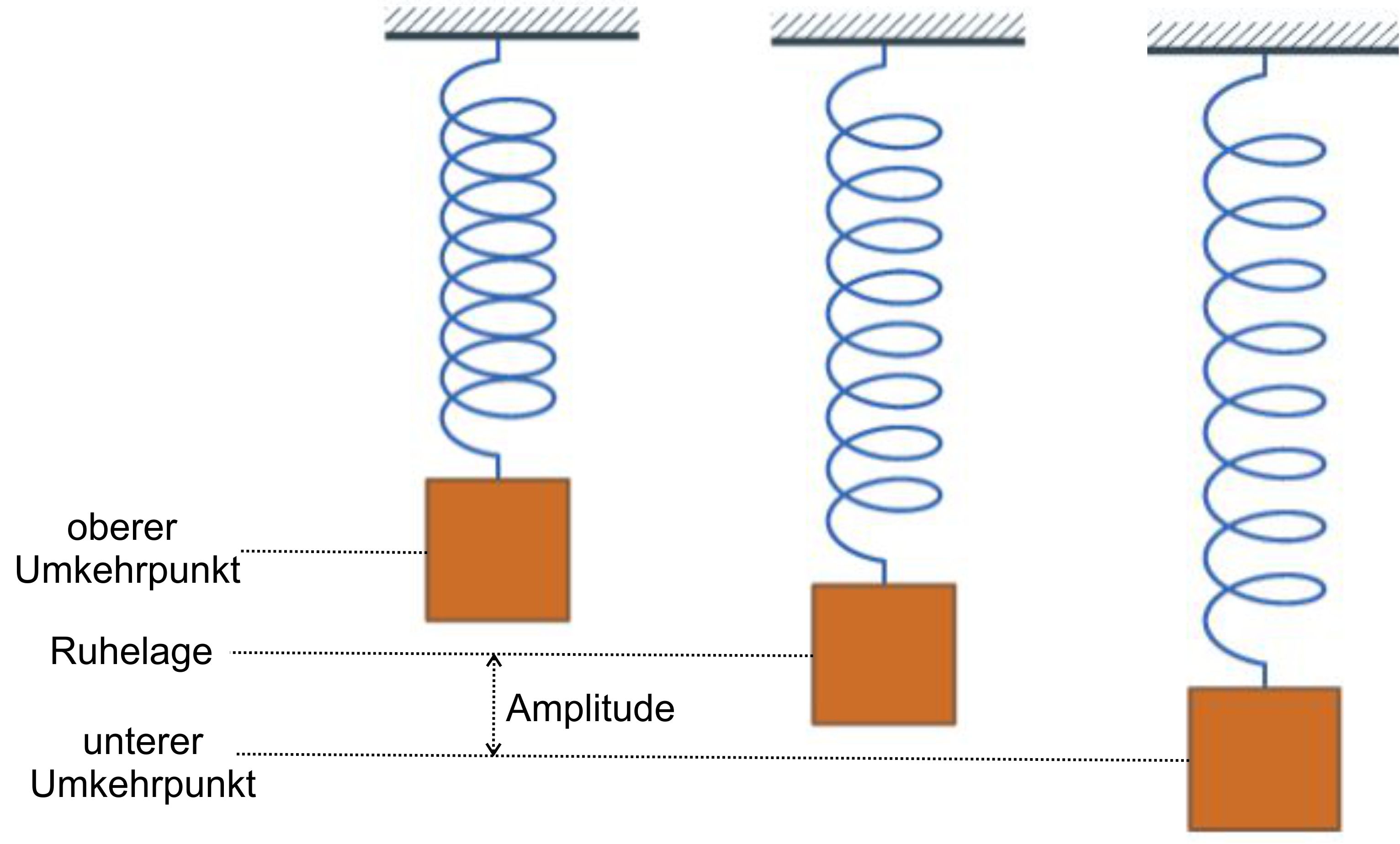 Bei der ungedämpften Schwingung ist die Amplitude konstant, bei